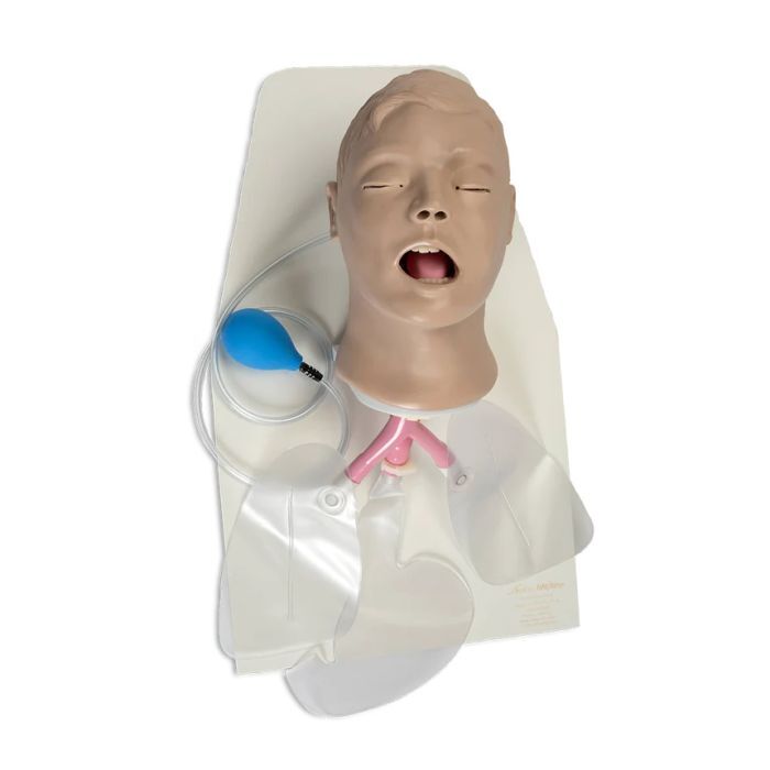 Airway Larry’ Adult Airway Management Trainer with Stand